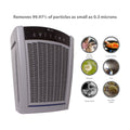 Bali LP550TH Multi-Room True HEPA Air Purifier | LivePure